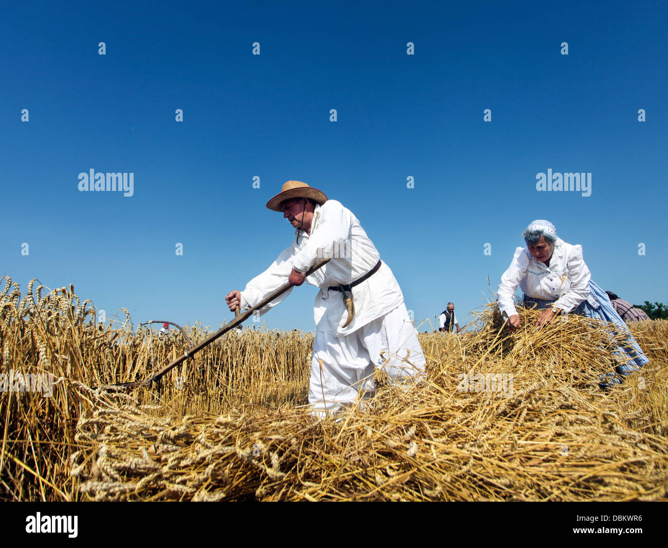 Bunjevci hi-res stock photography and images - Alamy