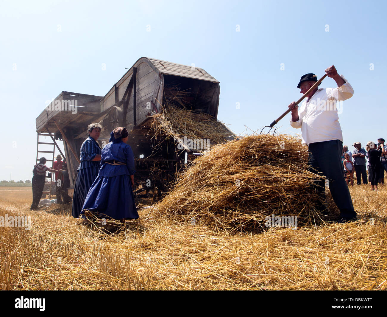 Harvest work hi-res stock photography and images - Alamy