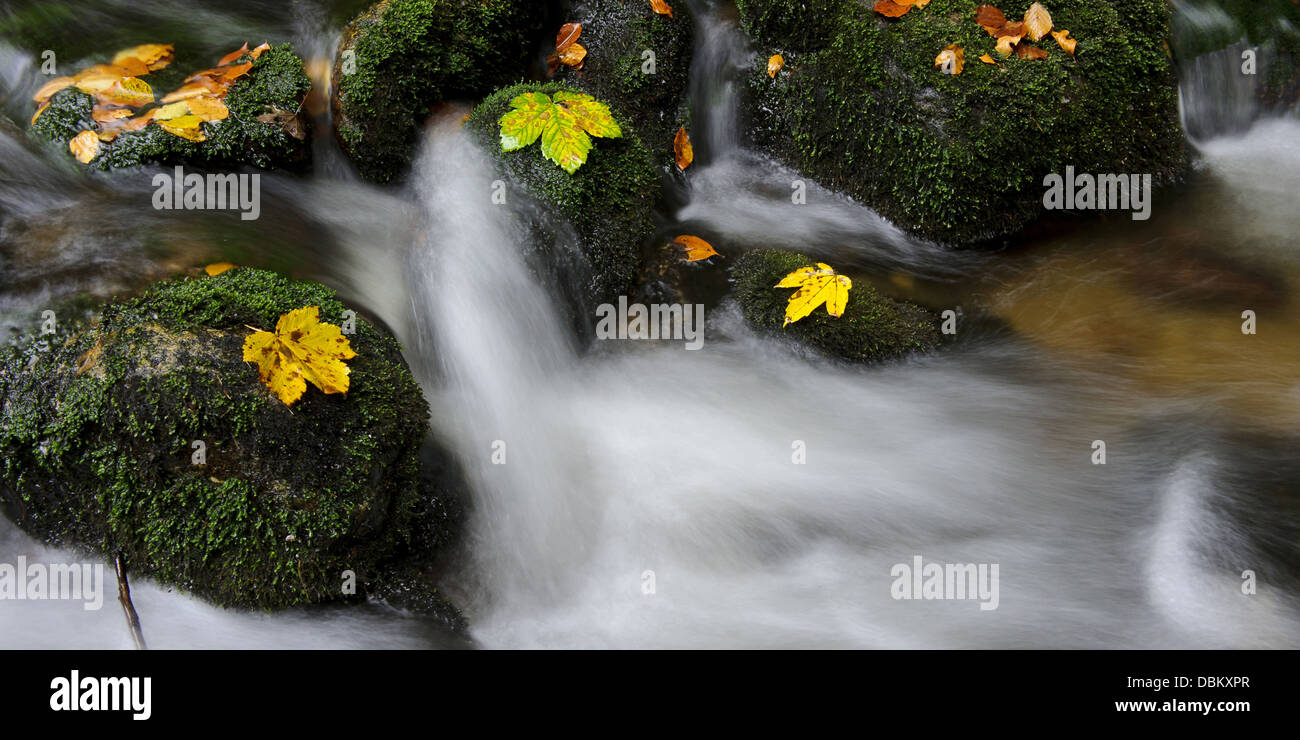 Little creek hi-res stock photography and images - Alamy