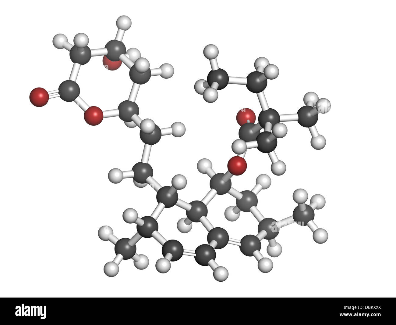 Rhabdomyolysis hi-res stock photography and images - Alamy