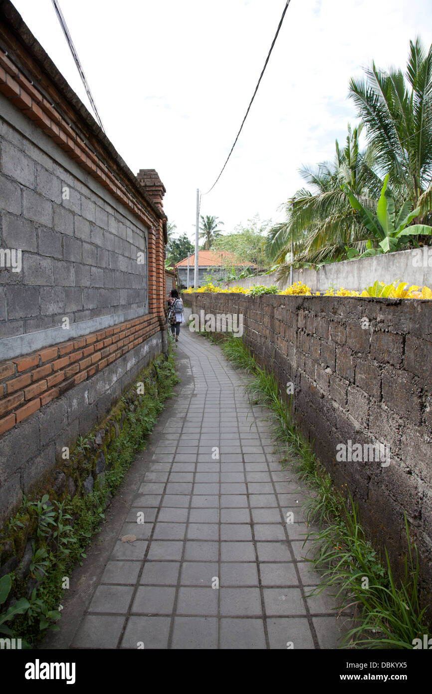 Pathway, Ubud, Bali, Indonesia Stock Photo - Alamy