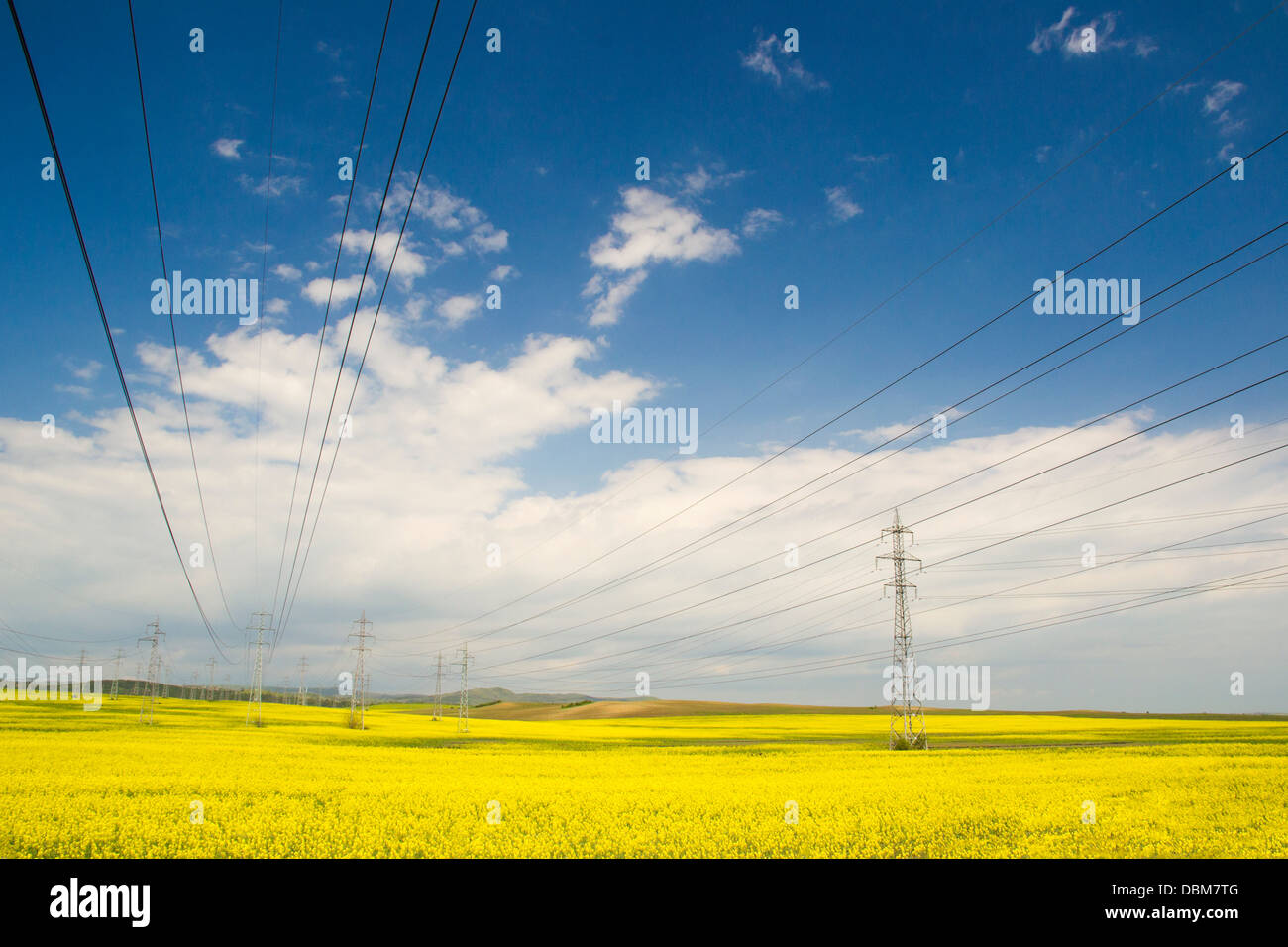 Power lines over farm hi-res stock photography and images - Alamy