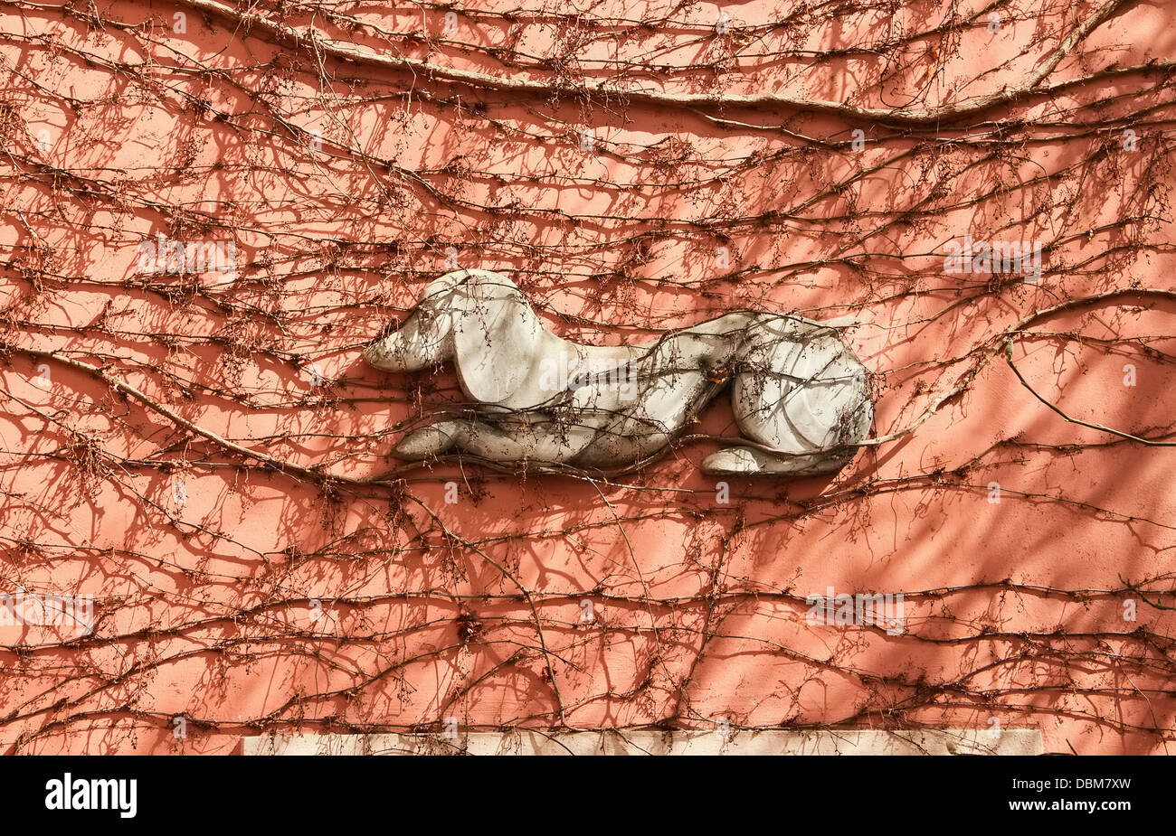 stone bas-relief of a dog on the grrape-covered wall in Strahov ...