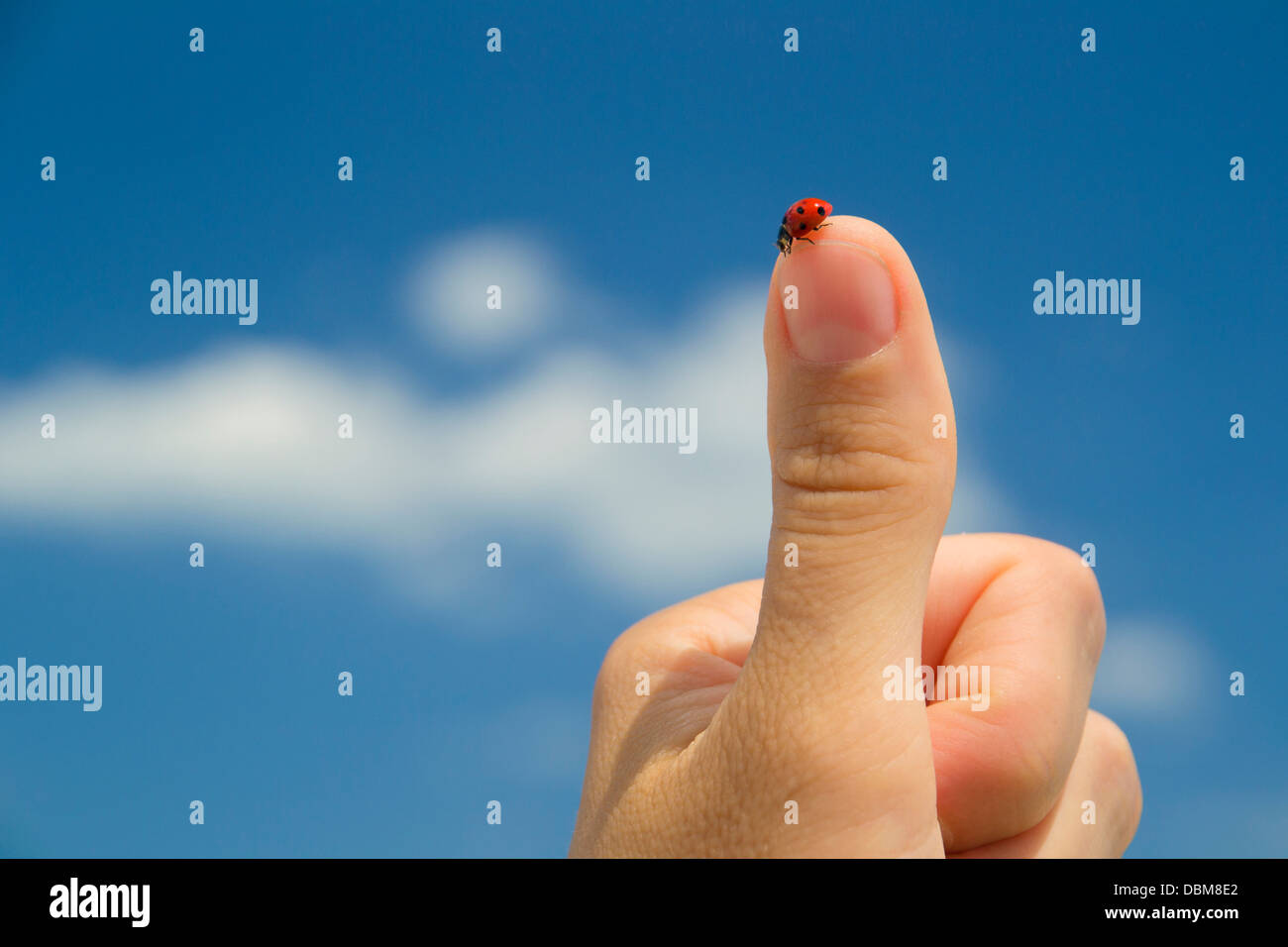 Human hand against a clear blue sky with a red ladybird / ladybug on ...