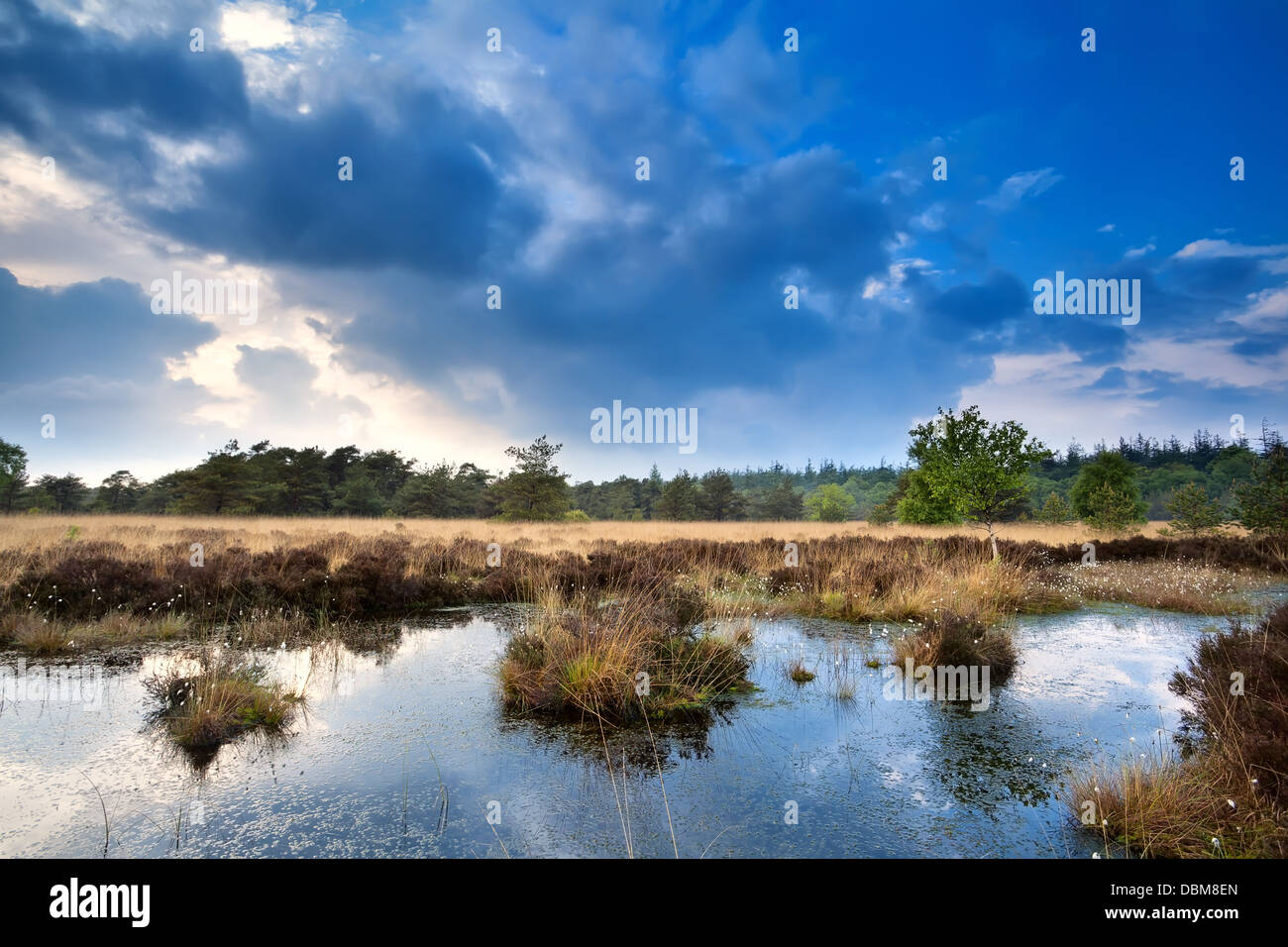 Blue water storm hi-res stock photography and images - Alamy
