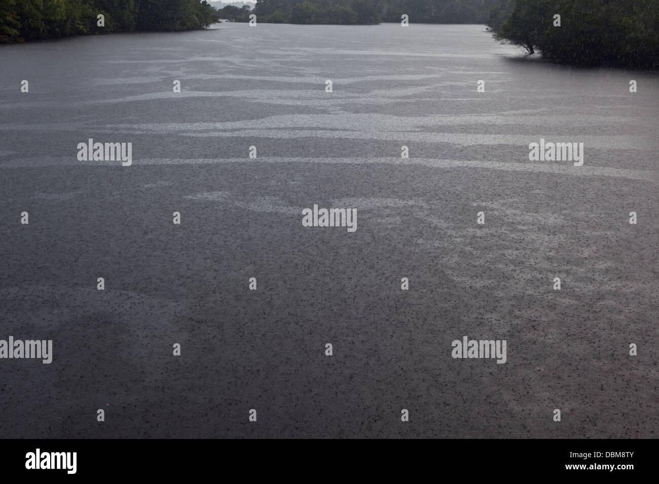 Amazon rainforest brazil sunset hi-res stock photography and images - Alamy