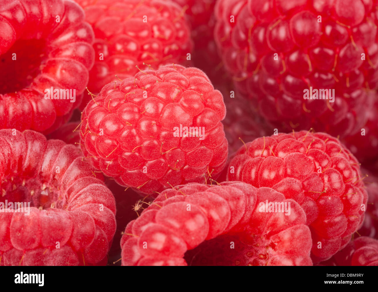 Raspberries Food Safety at Carlo Simmons blog