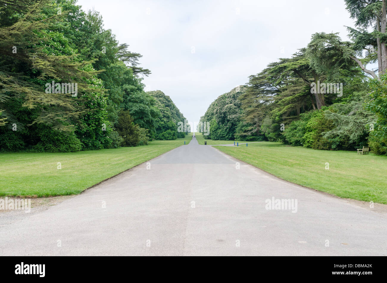 Bathurst estate hi-res stock photography and images - Alamy