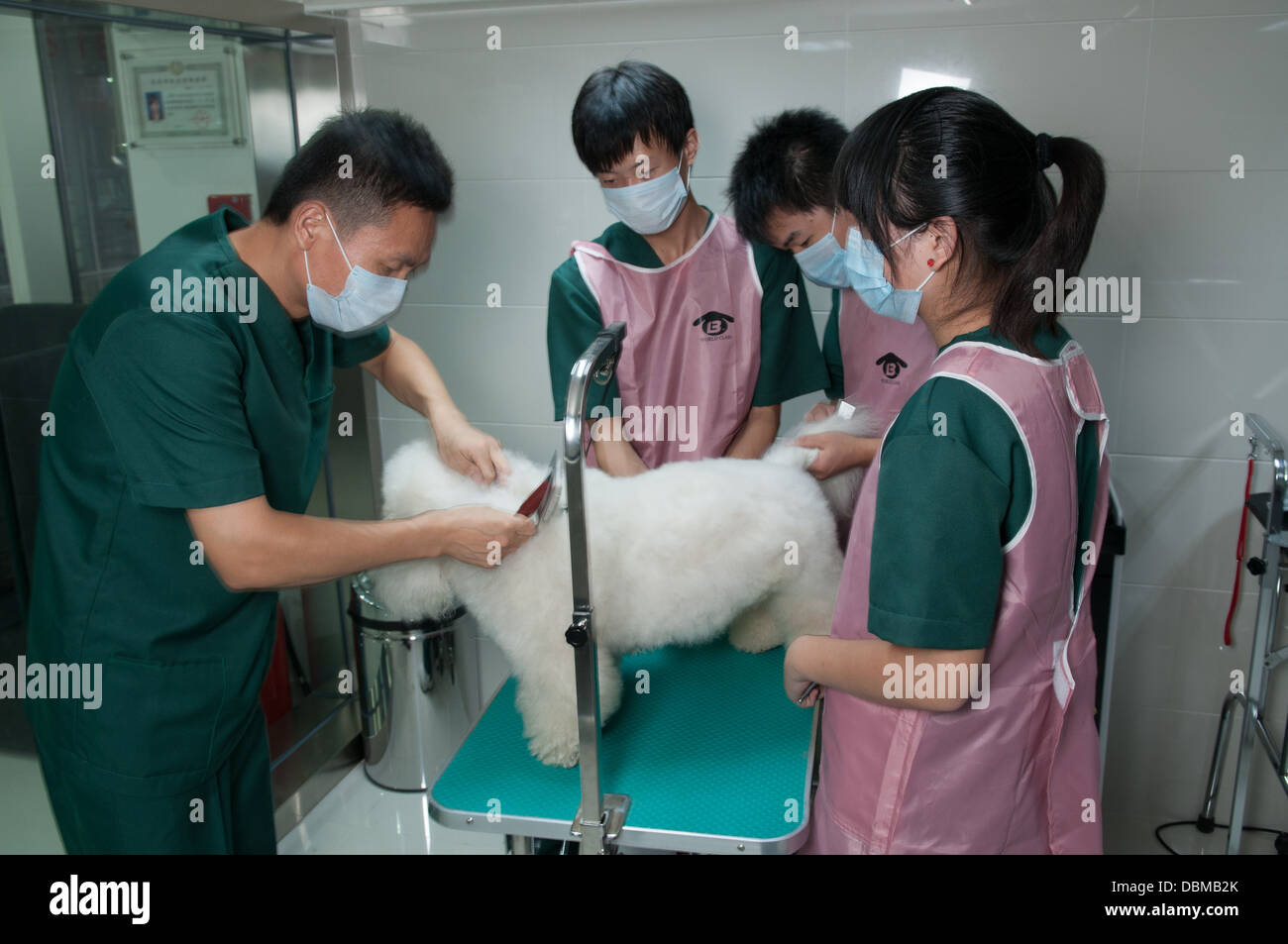 China workers hi-res stock photography and images - Alamy