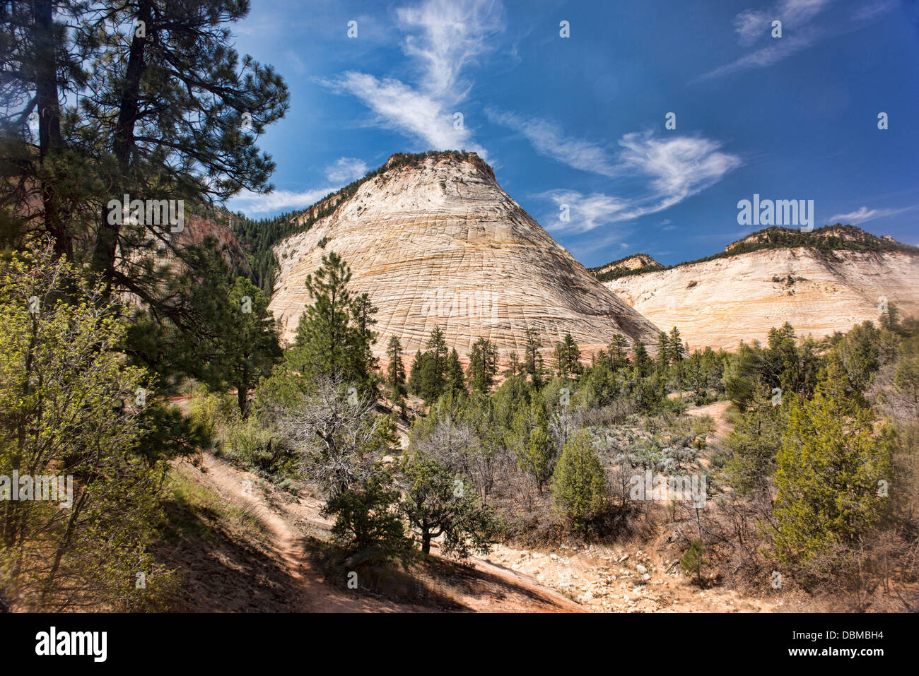 Checkerboard landscape hi-res stock photography and images - Alamy