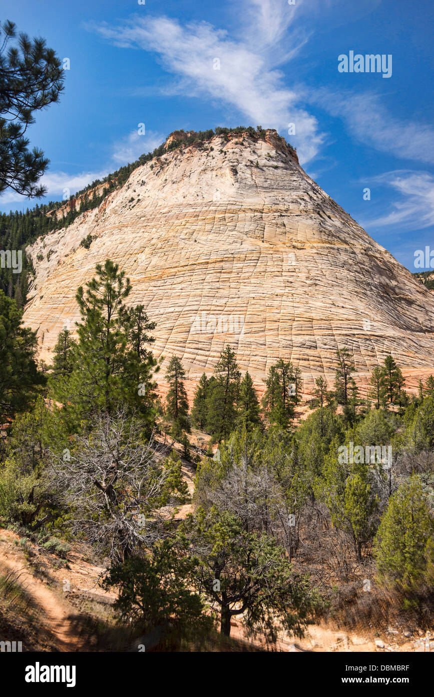 Checkerboard landscape hi-res stock photography and images - Alamy