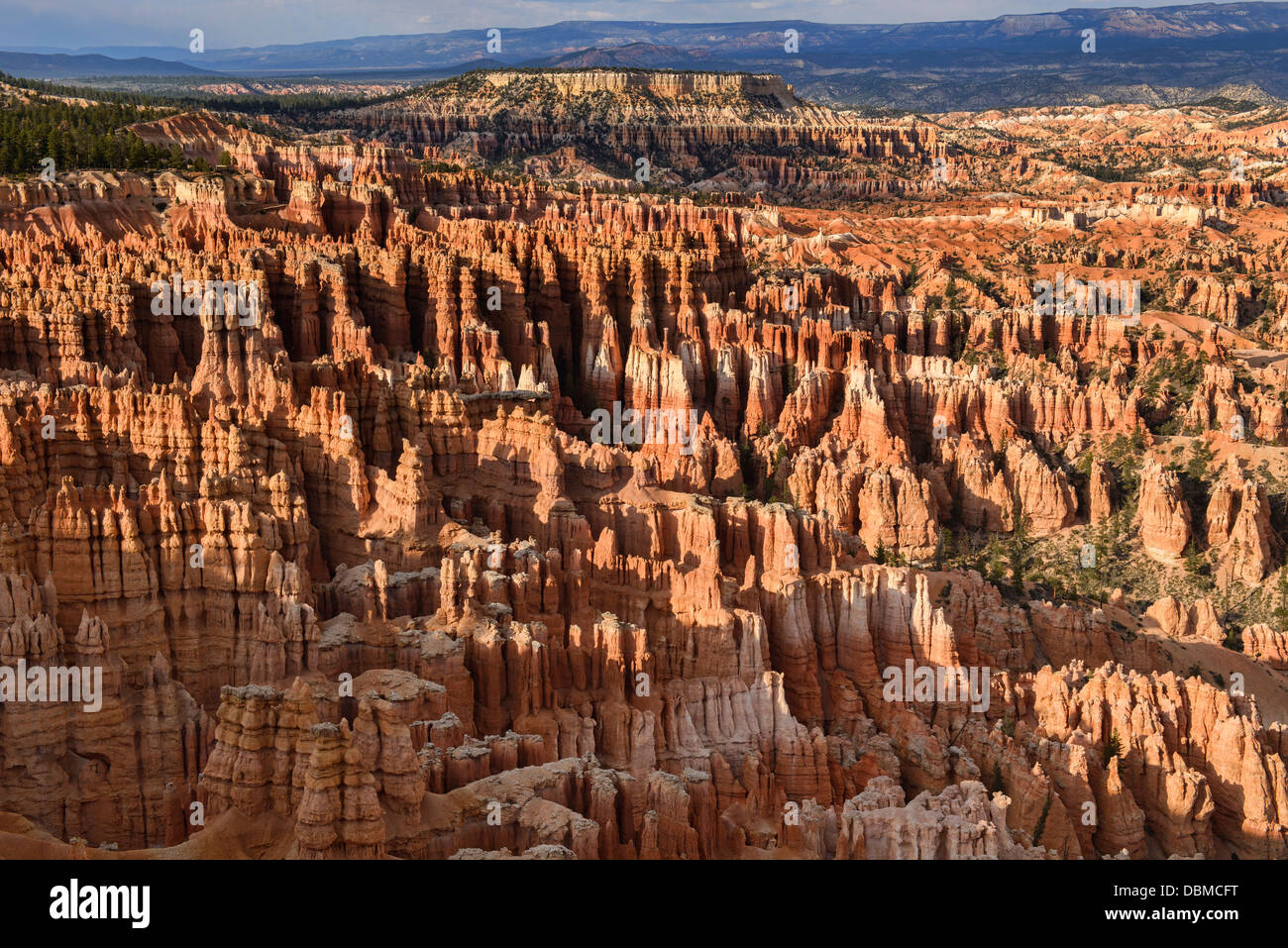 overlooking the hoodoos in Bryce Canyon National Park, Utah Stock Photo ...