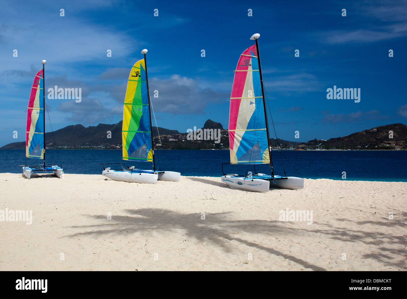 Bright Colored Sails on a Caribbean Beach: Hobby Cats, Palm Tree Shadow ...