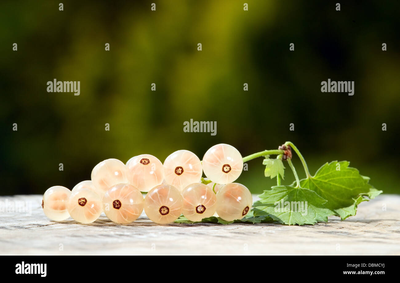 Currants with leaves on green nature background Stock Photo - Alamy