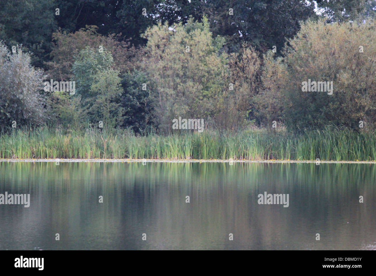 Reeds creek hi-res stock photography and images - Alamy