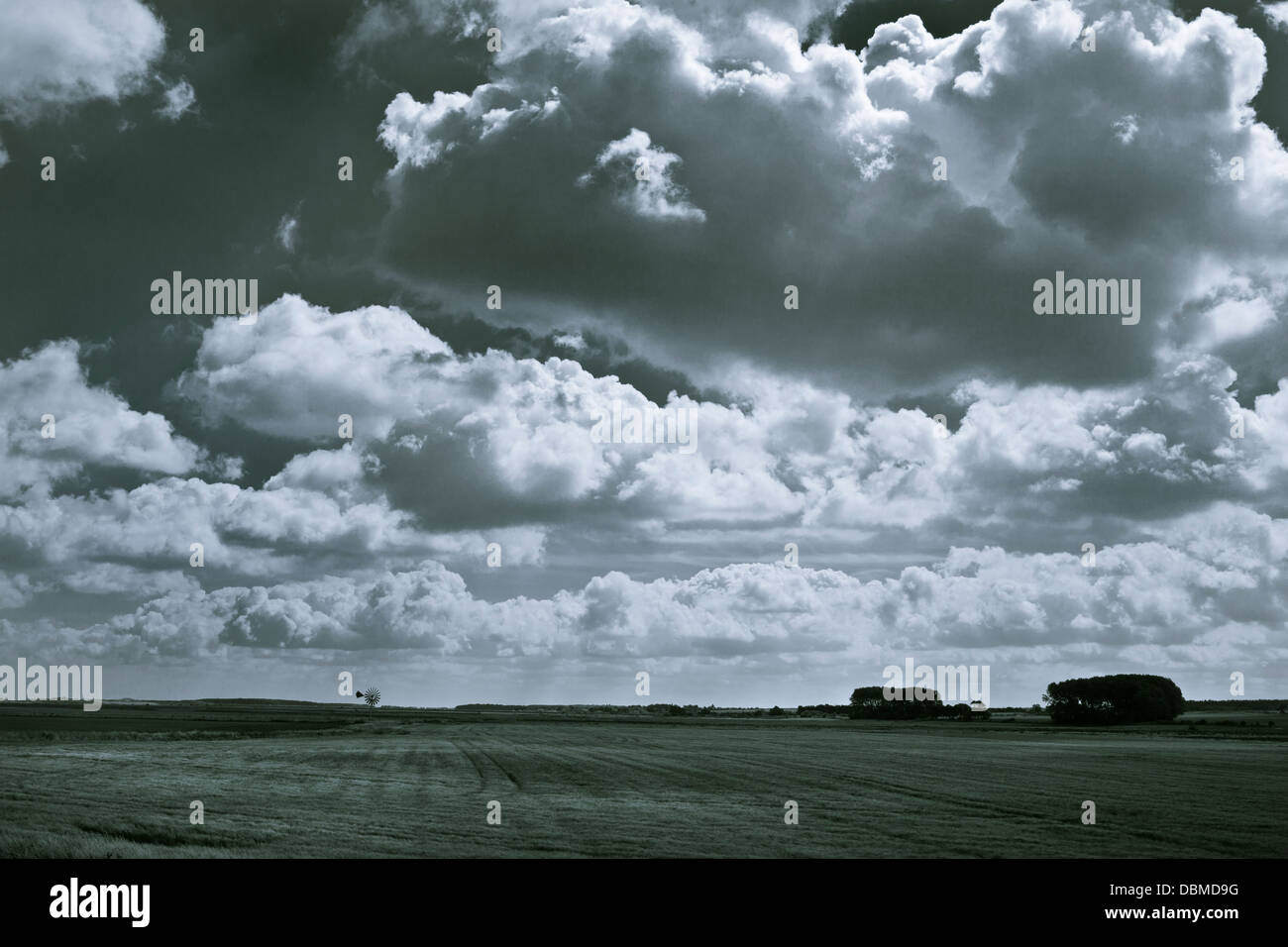 Deepdale farm norfolk hi-res stock photography and images - Alamy
