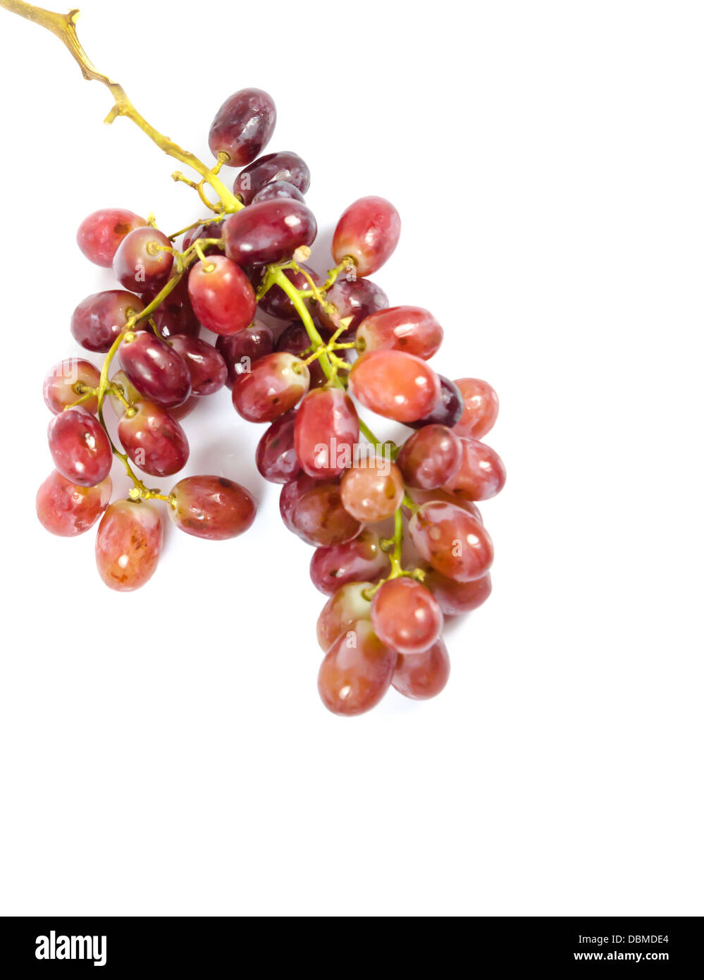 Branch with grape hi-res stock photography and images - Alamy