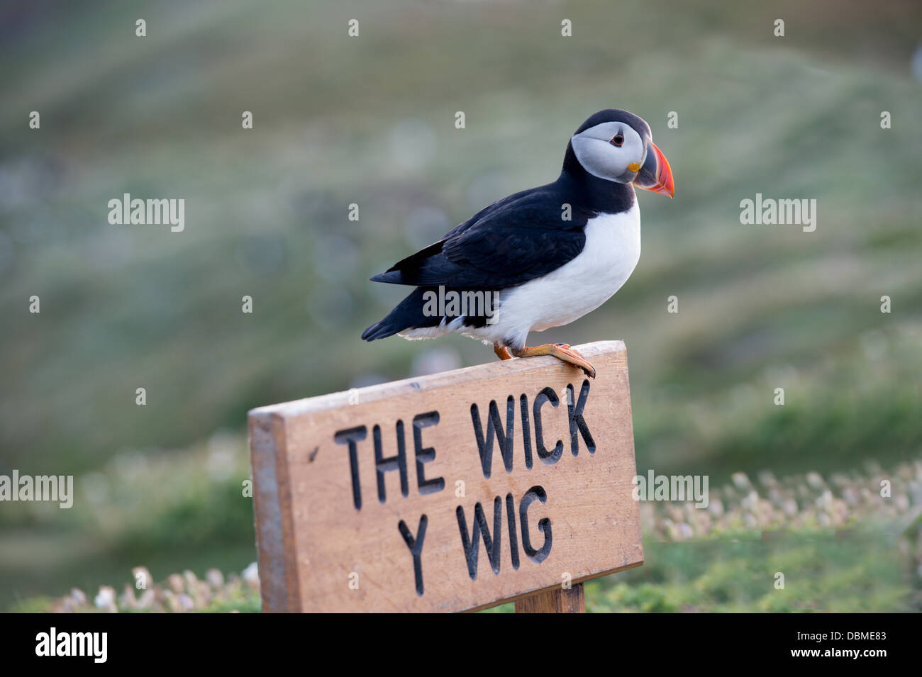 Wick sign hi-res stock photography and images - Alamy