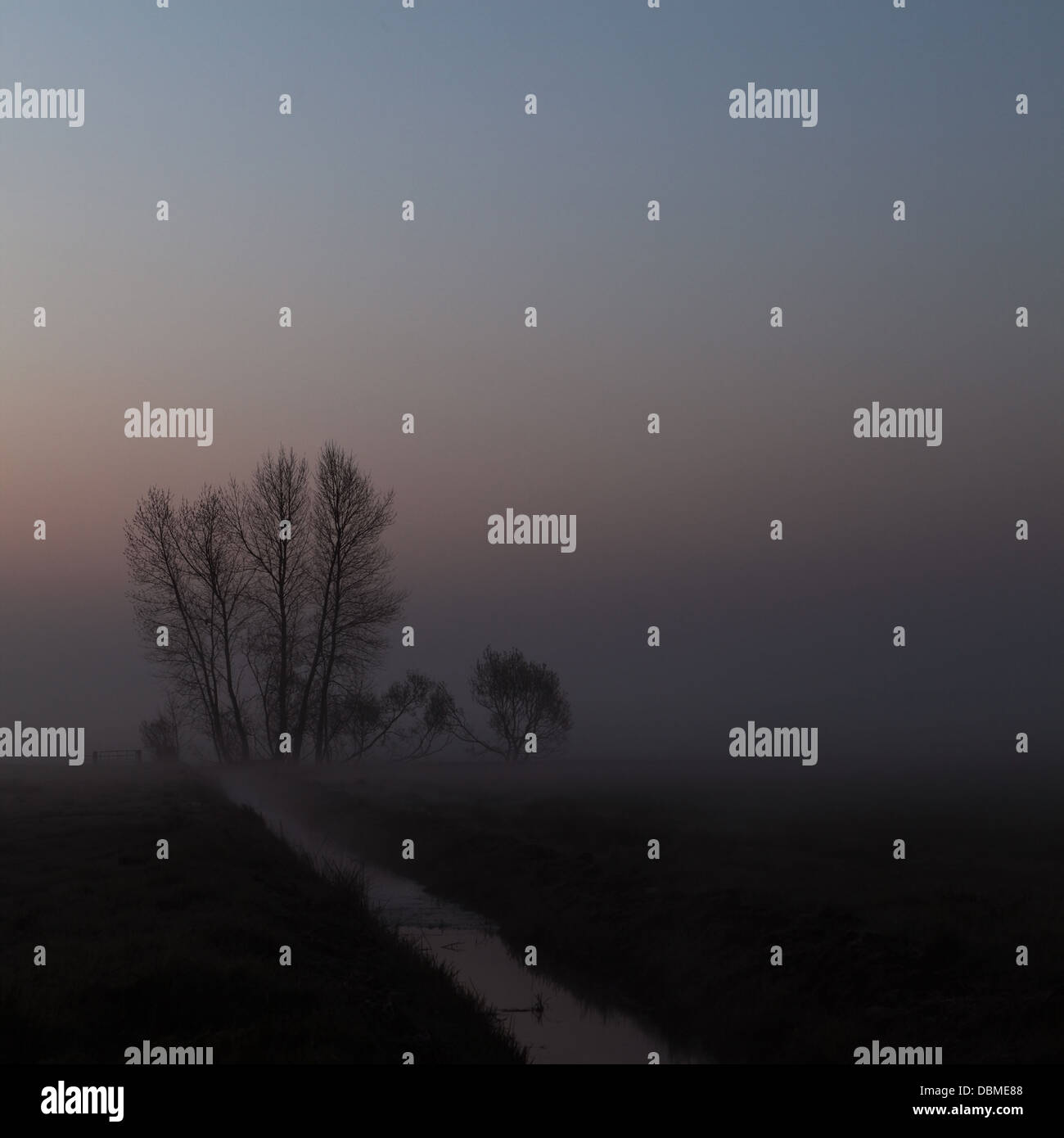 Misty morning on Somerset levels Stock Photo - Alamy