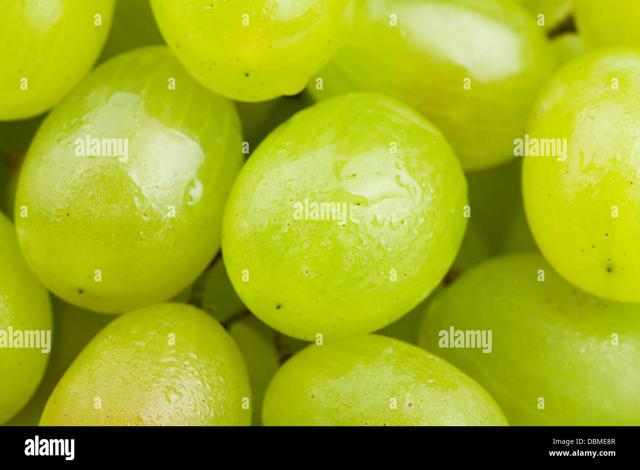 white grapes macro closeup group Stock Photo - Alamy