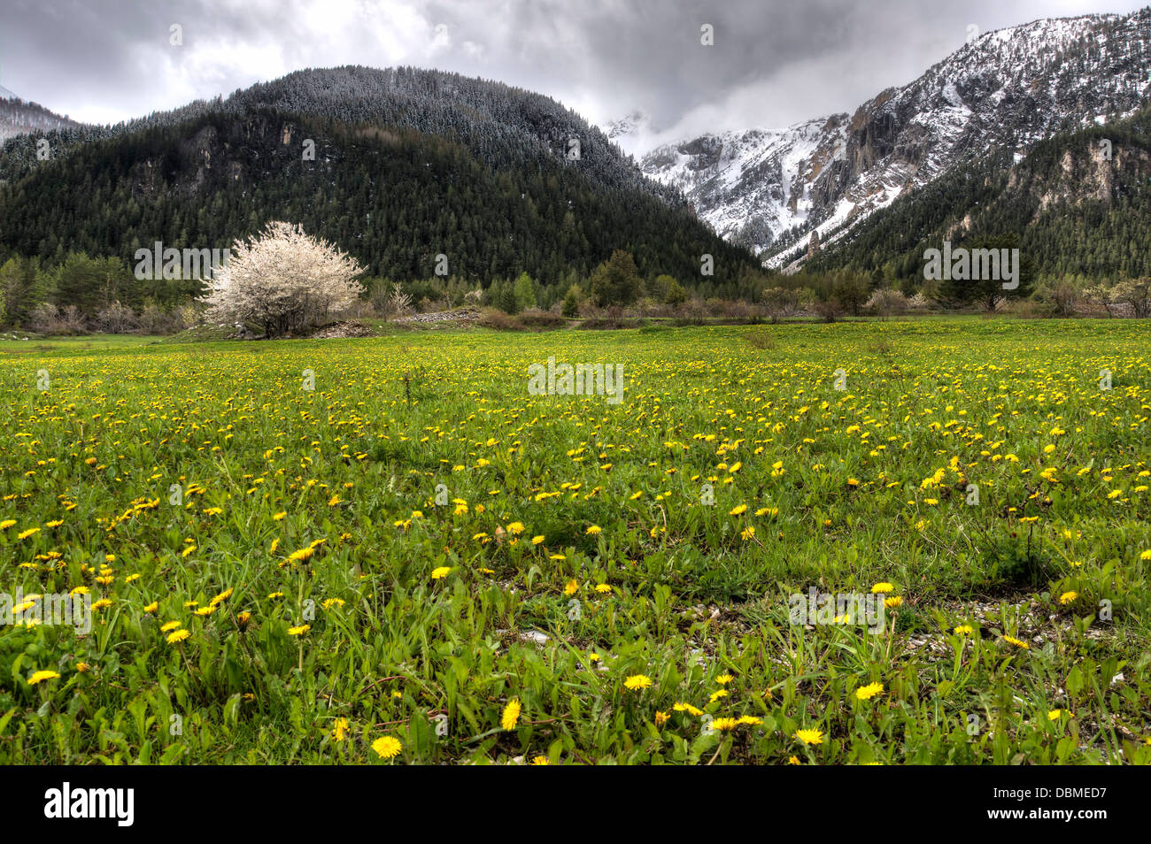 Spring alps hi-res stock photography and images - Alamy