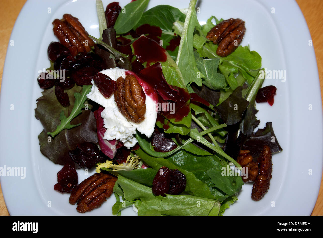 Micro greens salad starter arugula spinach leaves dried cranberries ...