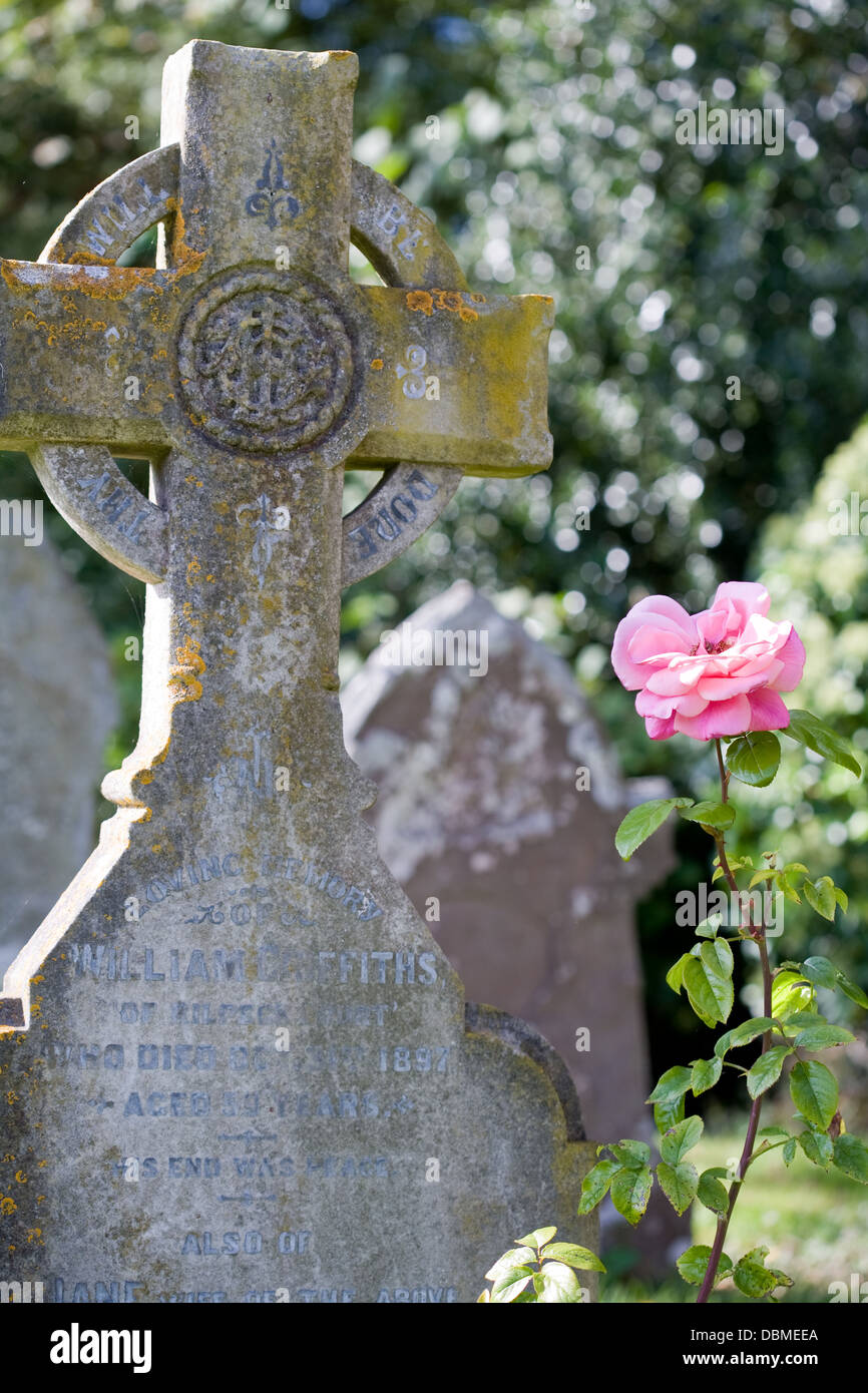 Rose by gravestone Stock Photo - Alamy