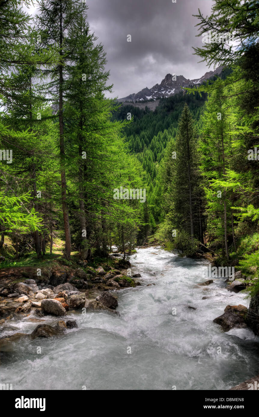 Alpine river in Italian alps Stock Photo - Alamy