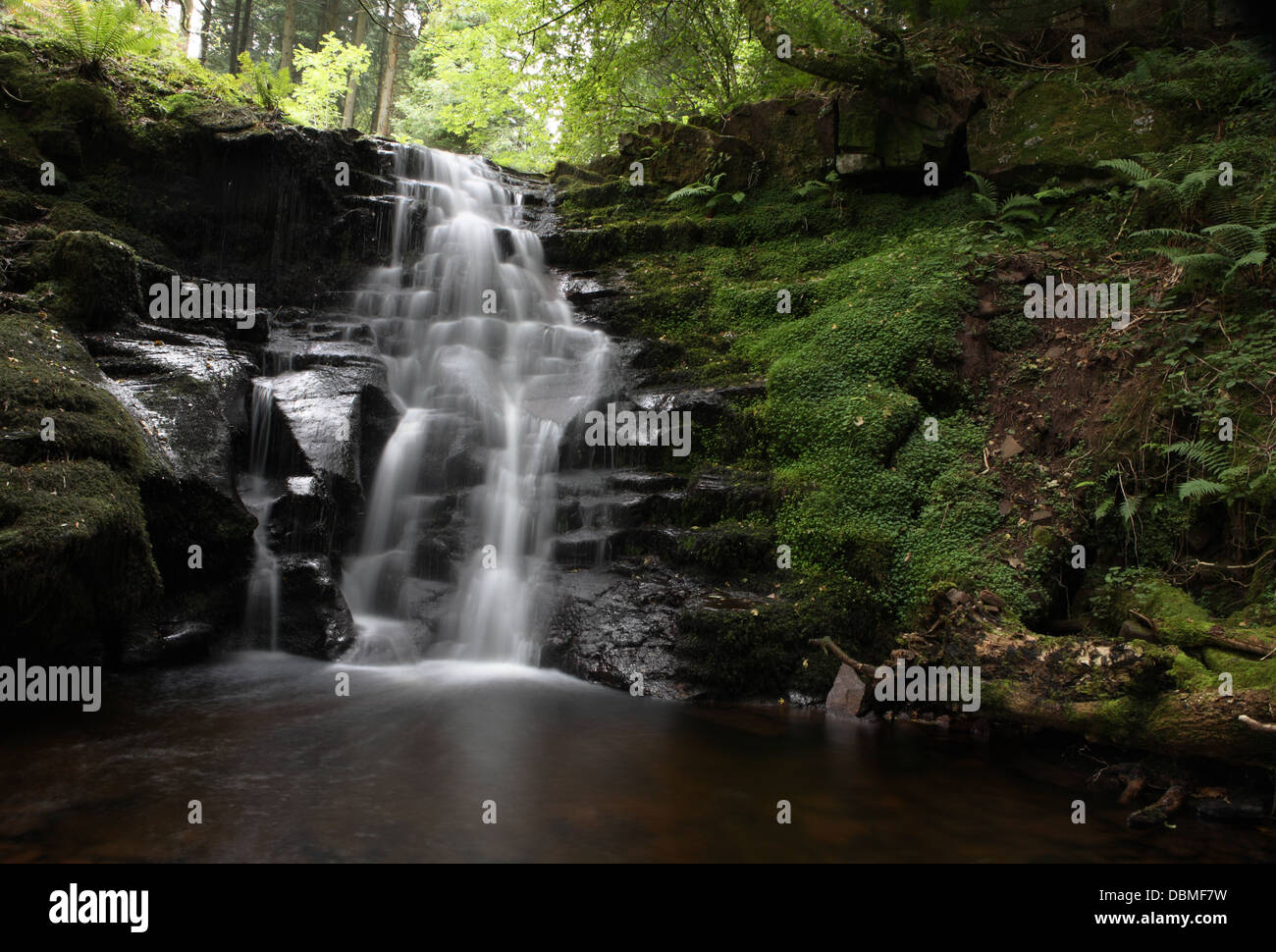 Talybont Forest High Resolution Stock Photography and Images - Alamy