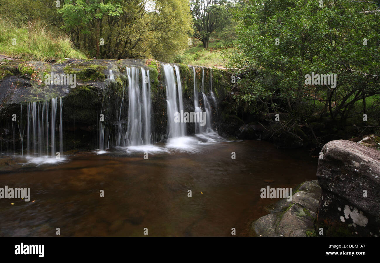 Talybont forest hi-res stock photography and images - Alamy