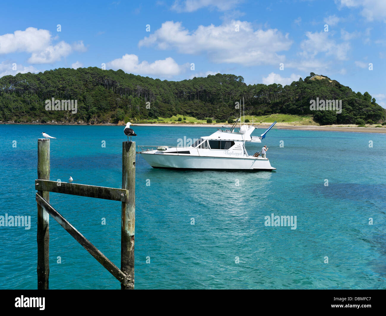 dh Roberton Island BAY OF ISLANDS NEW ZEALAND Yacht cruiser anchored in ...