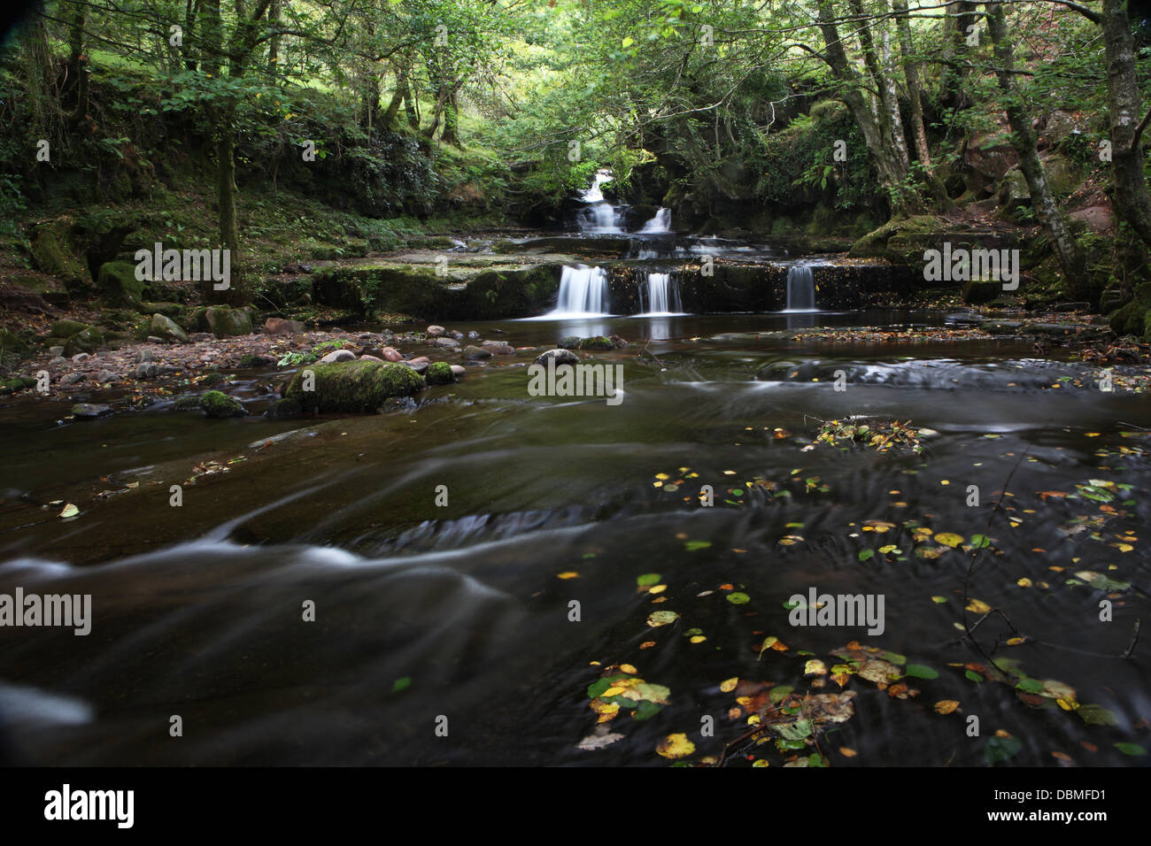 water flowing over rocks. River Erme nr Ivybridge Devon Stock Photo - Alamy