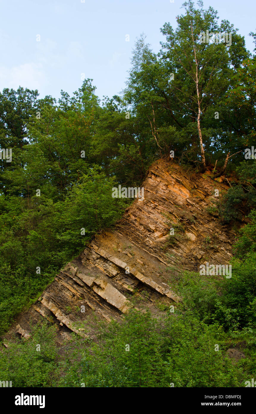 Landslide forest hi-res stock photography and images - Alamy