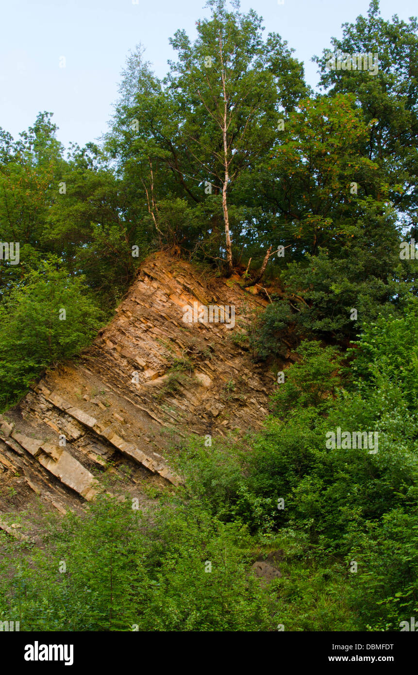 rock landslide in the forest Stock Photo - Alamy