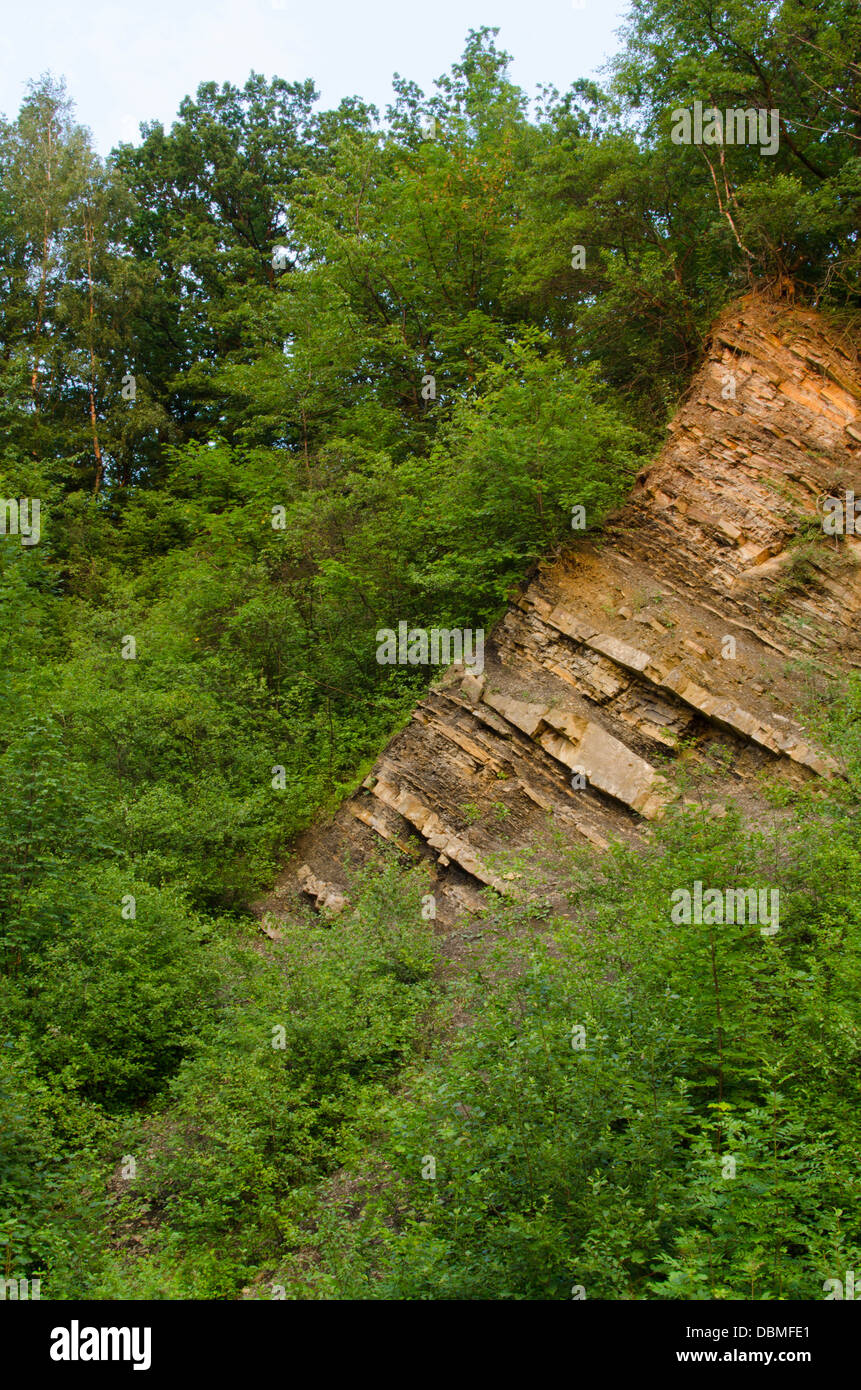 Landslide forest hi-res stock photography and images - Alamy