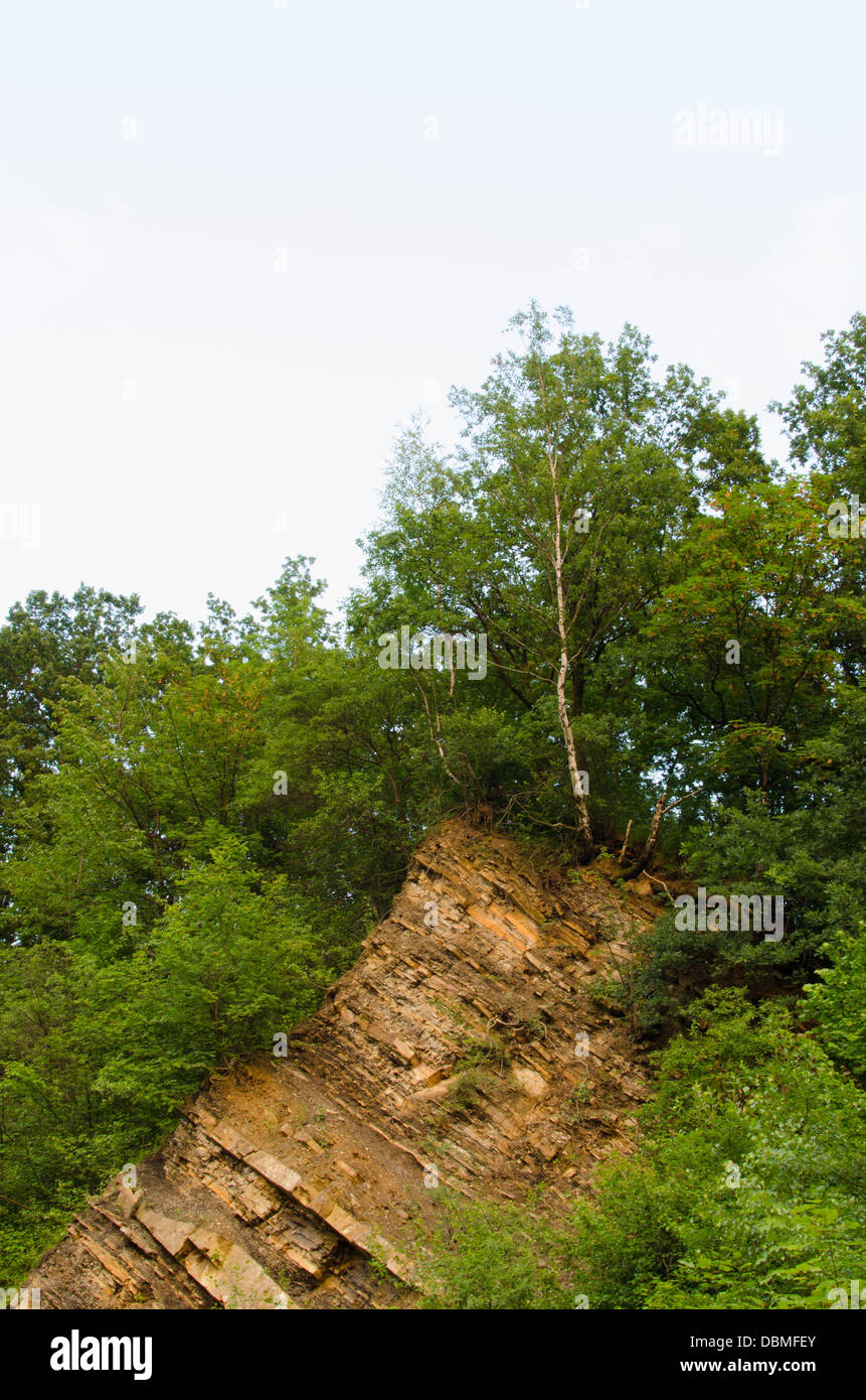 Landslide forest hi-res stock photography and images - Alamy