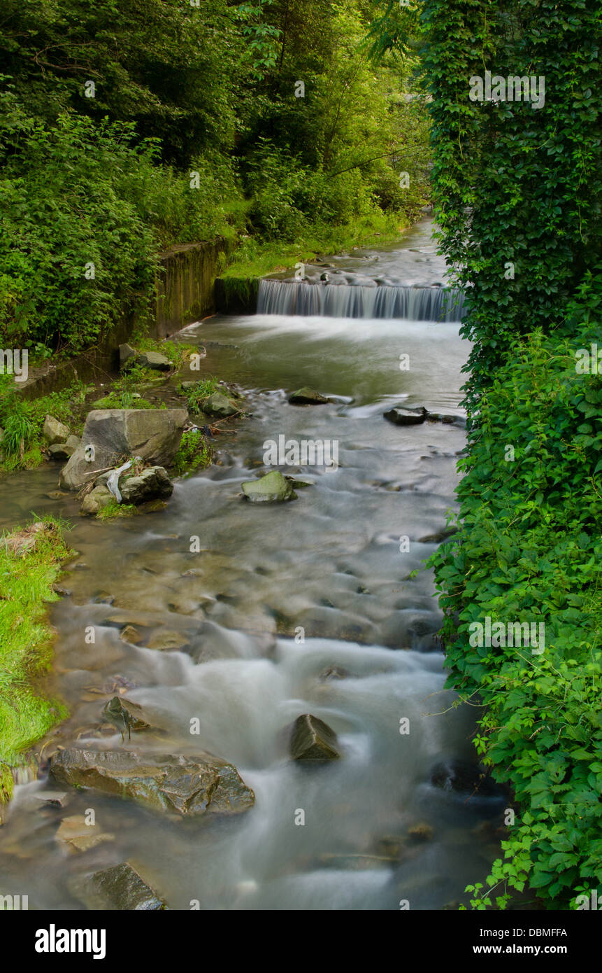 Stream and little waterfall in the forest Stock Photo - Alamy