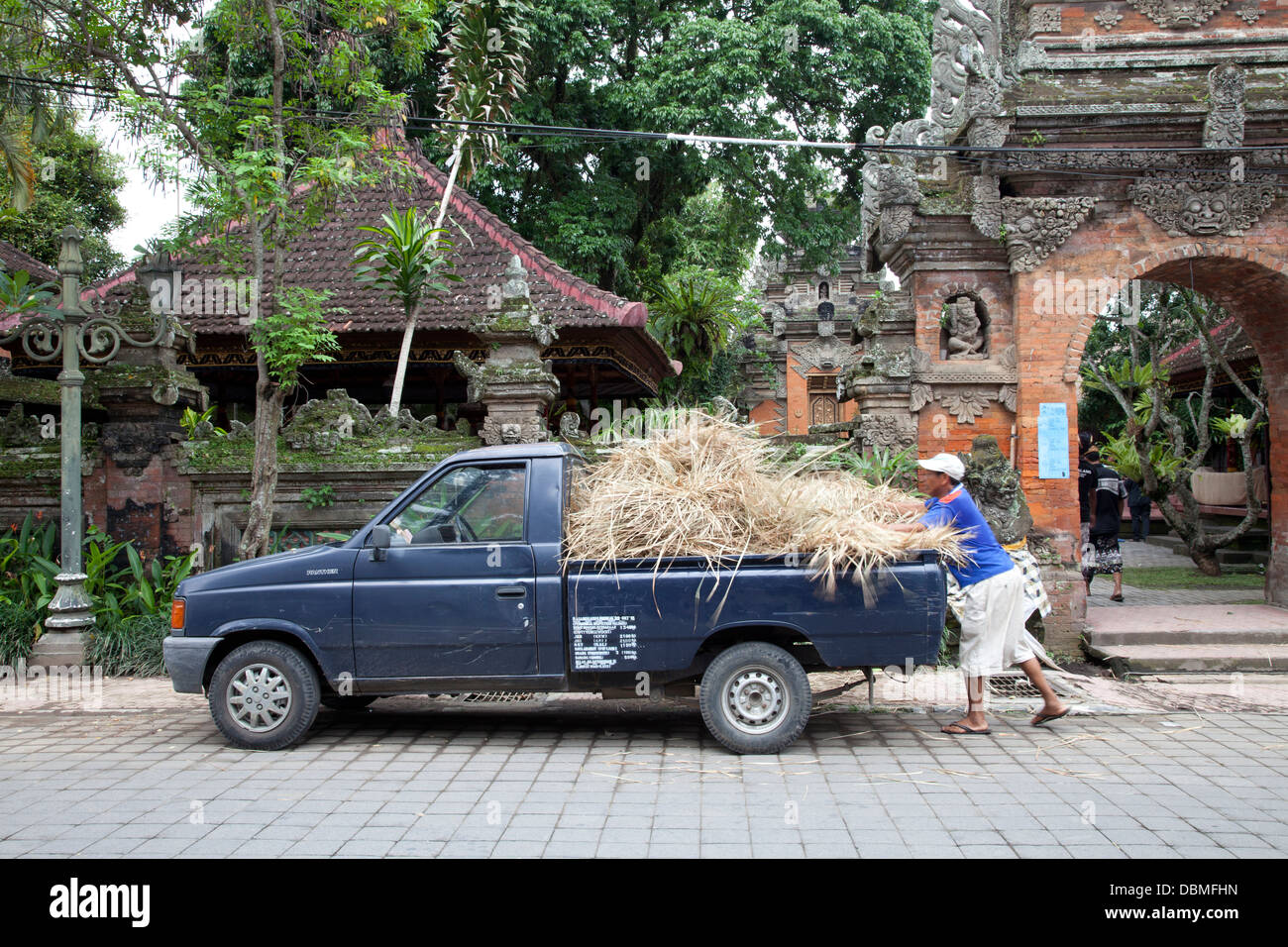 Man Hauling Hay In Truck, Ubud, Bali, Indonesia Stock Photo - Alamy
