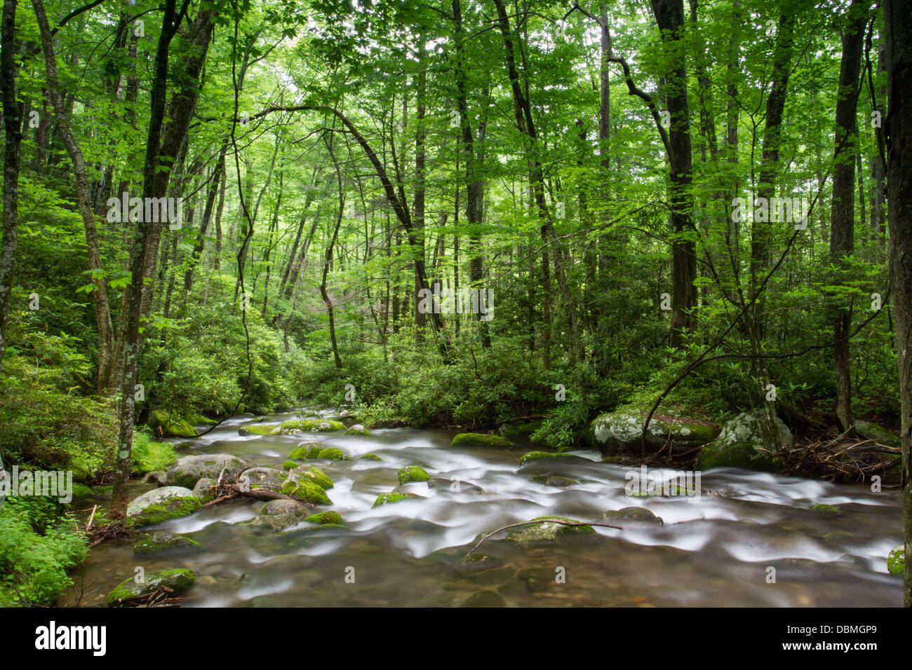 Roaring Forks Motor Trail in the Great Smoky Mountains Stock Photo - Alamy