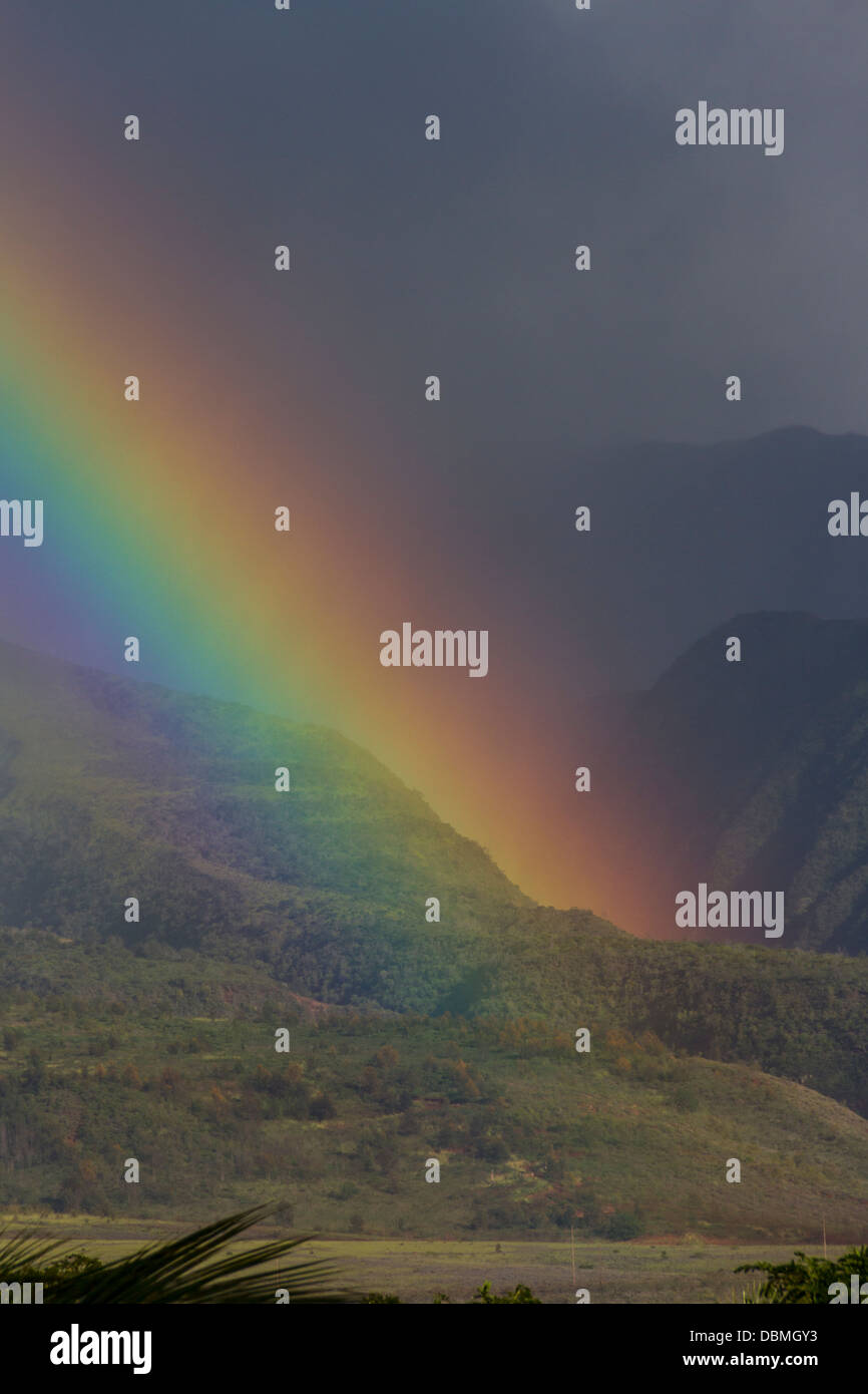 Prism rainbow hi-res stock photography and images - Alamy