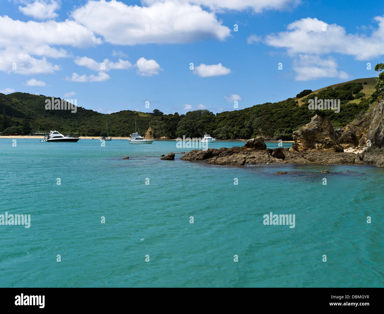 Anchor island new zealand hi-res stock photography and images - Alamy