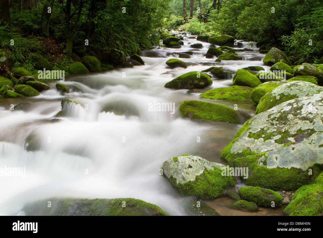 Roaring Forks Motor Trail in the Great Smoky Mountains Stock Photo - Alamy