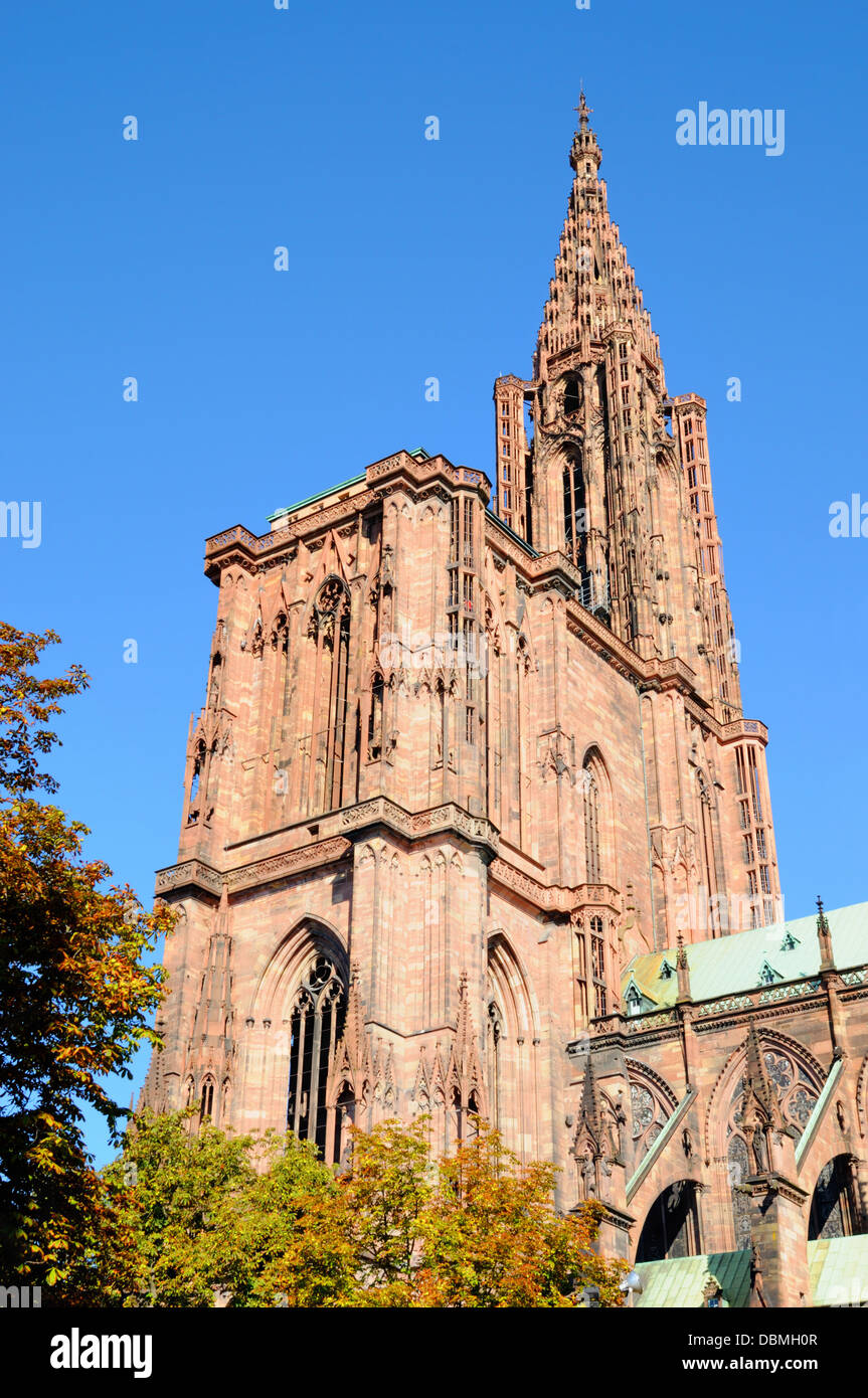 Cathedral in Strasbourg built from pink stones Stock Photo - Alamy