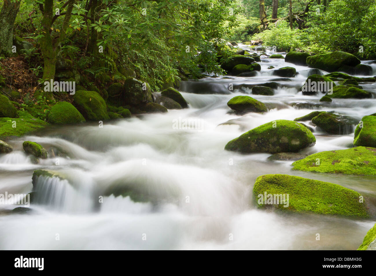 Roaring Forks Motor Trail in the Great Smoky Mountains Stock Photo - Alamy