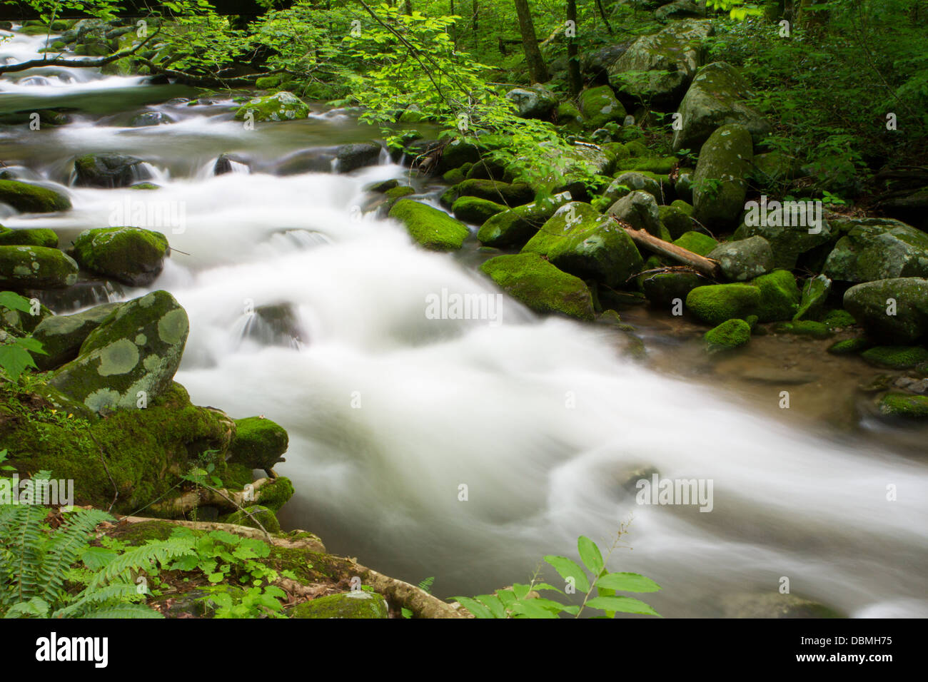 Roaring Forks Motor Trail in the Great Smoky Mountains Stock Photo - Alamy