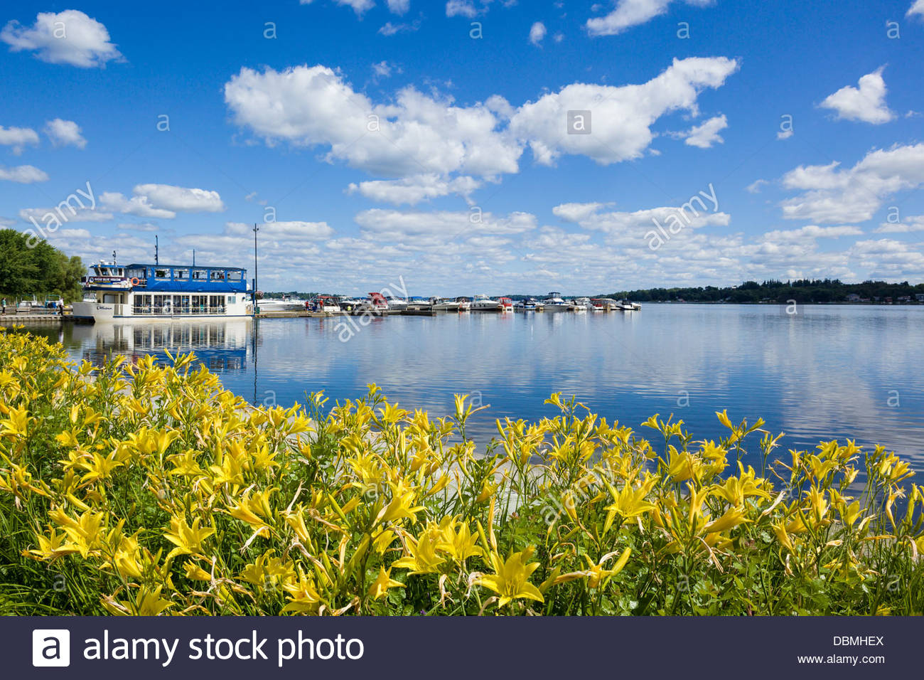 Scugog Stock Photos & Scugog Stock Images - Alamy