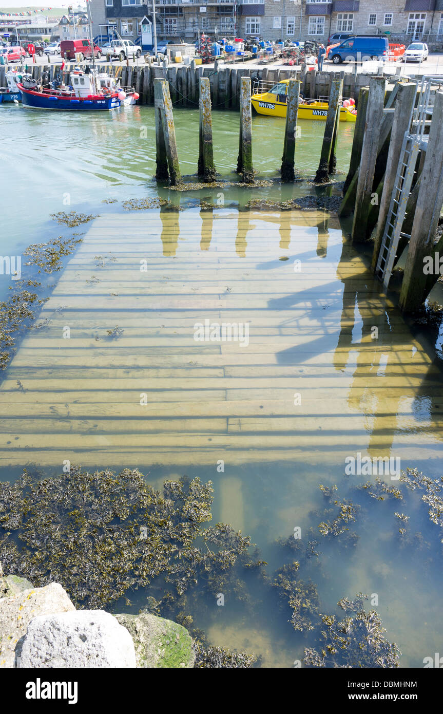 Sunken wooden platform timber structure beneath water in West Bay ...