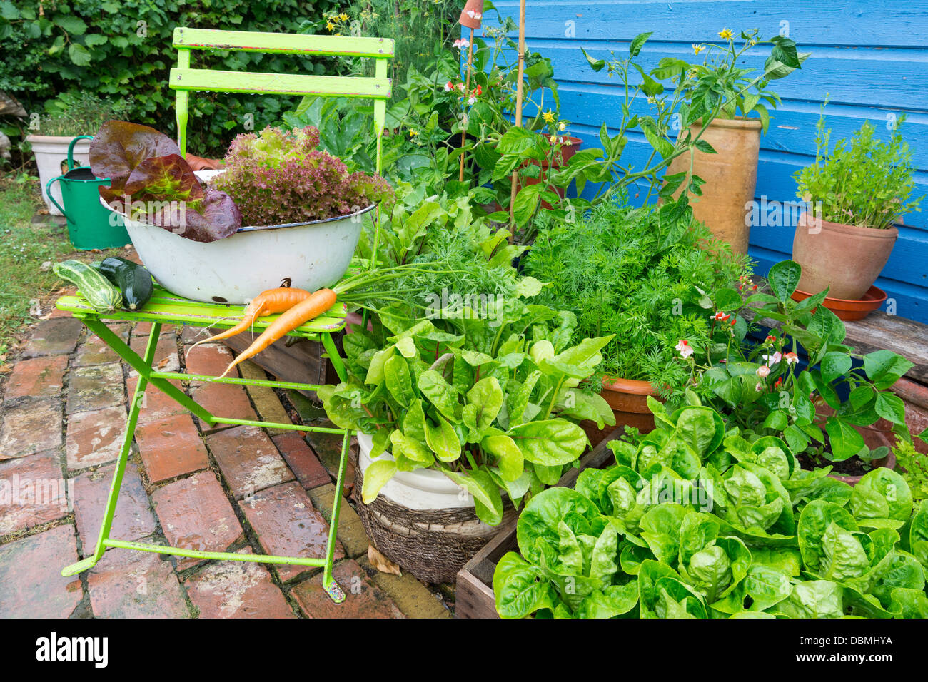 Salad crops hi-res stock photography and images - Alamy