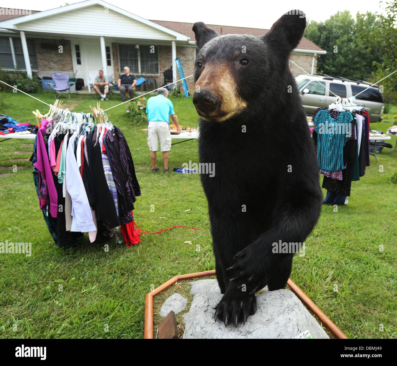 Aug. 1, 2013 - Union, Kentucky, U.S - A big stuffed black bear sits in ...