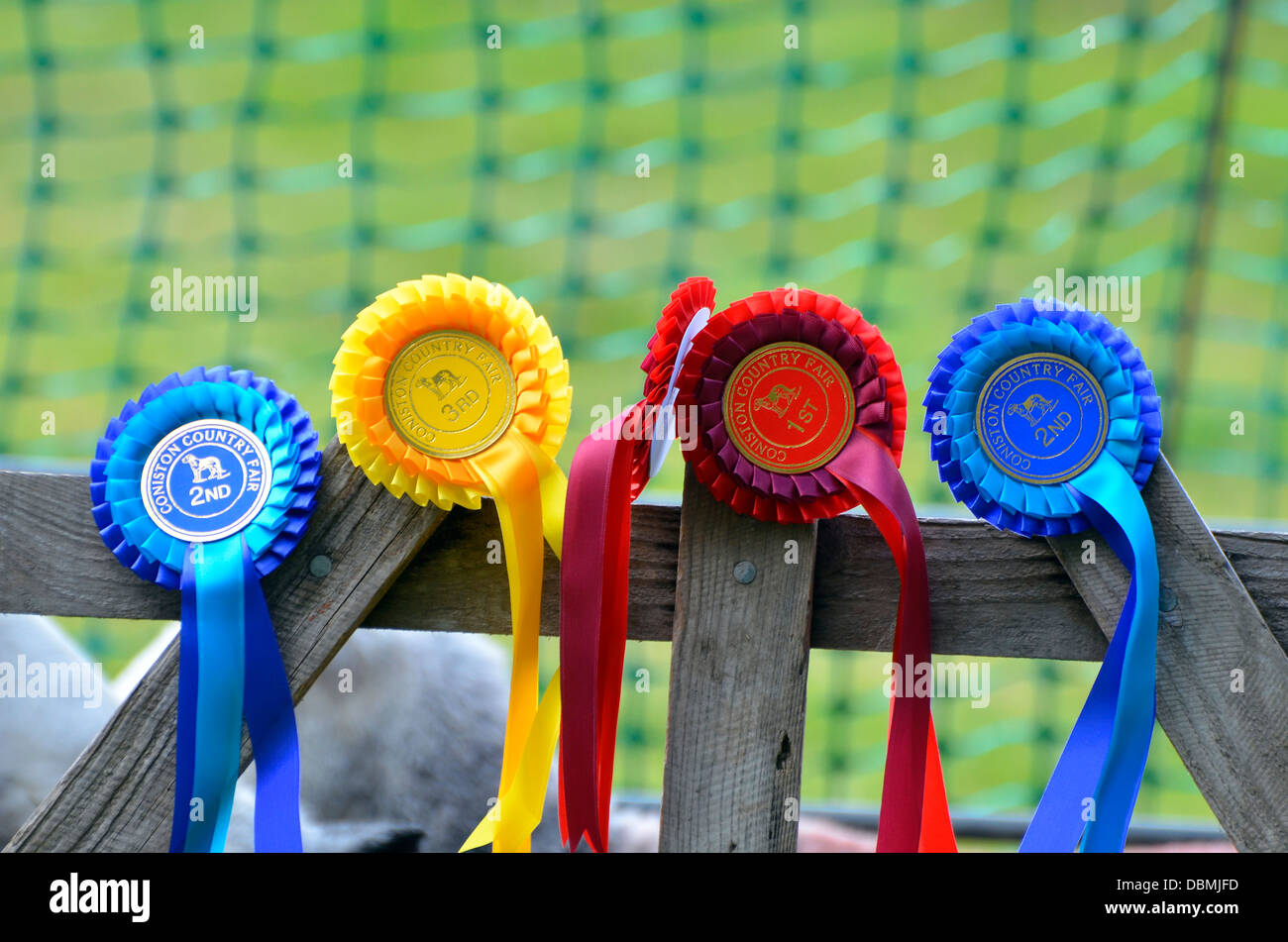 Winners rosettes hi-res stock photography and images - Alamy